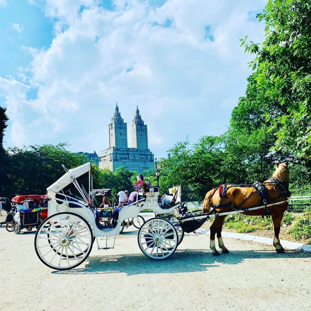About Central Park Carriage | New York City Carriage Company