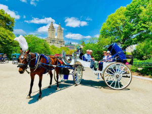 Central Park Carriage Tours | NYC Horse & Carriage Rides